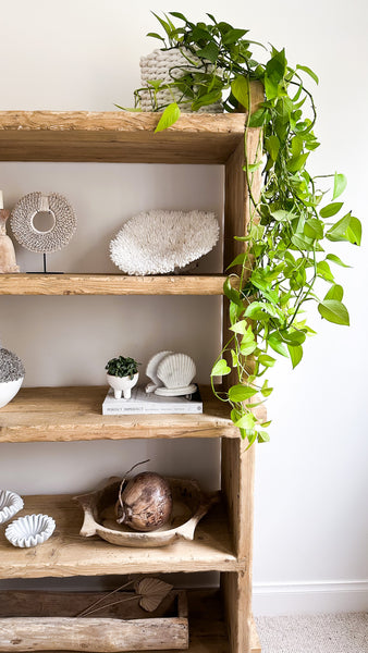 Cove Bookcase - Elm Wood – Rustic White & Wood