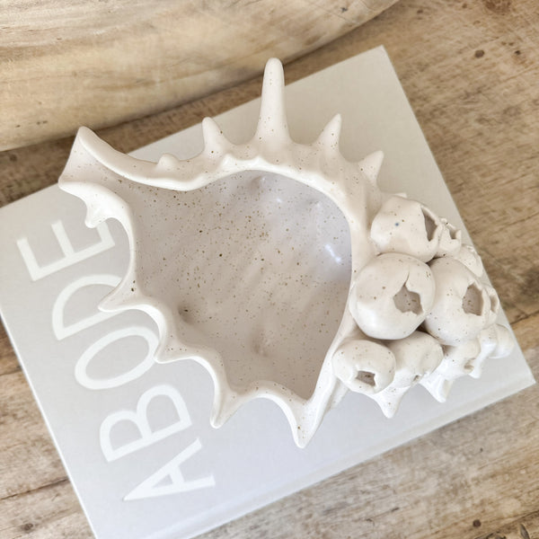 Barnacle Ceramic Shell Sculpture – Rustic White & Wood