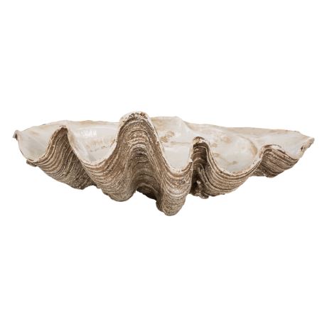 Columbus Clam Shell - Vintage - Poly-resin – Rustic White & Wood