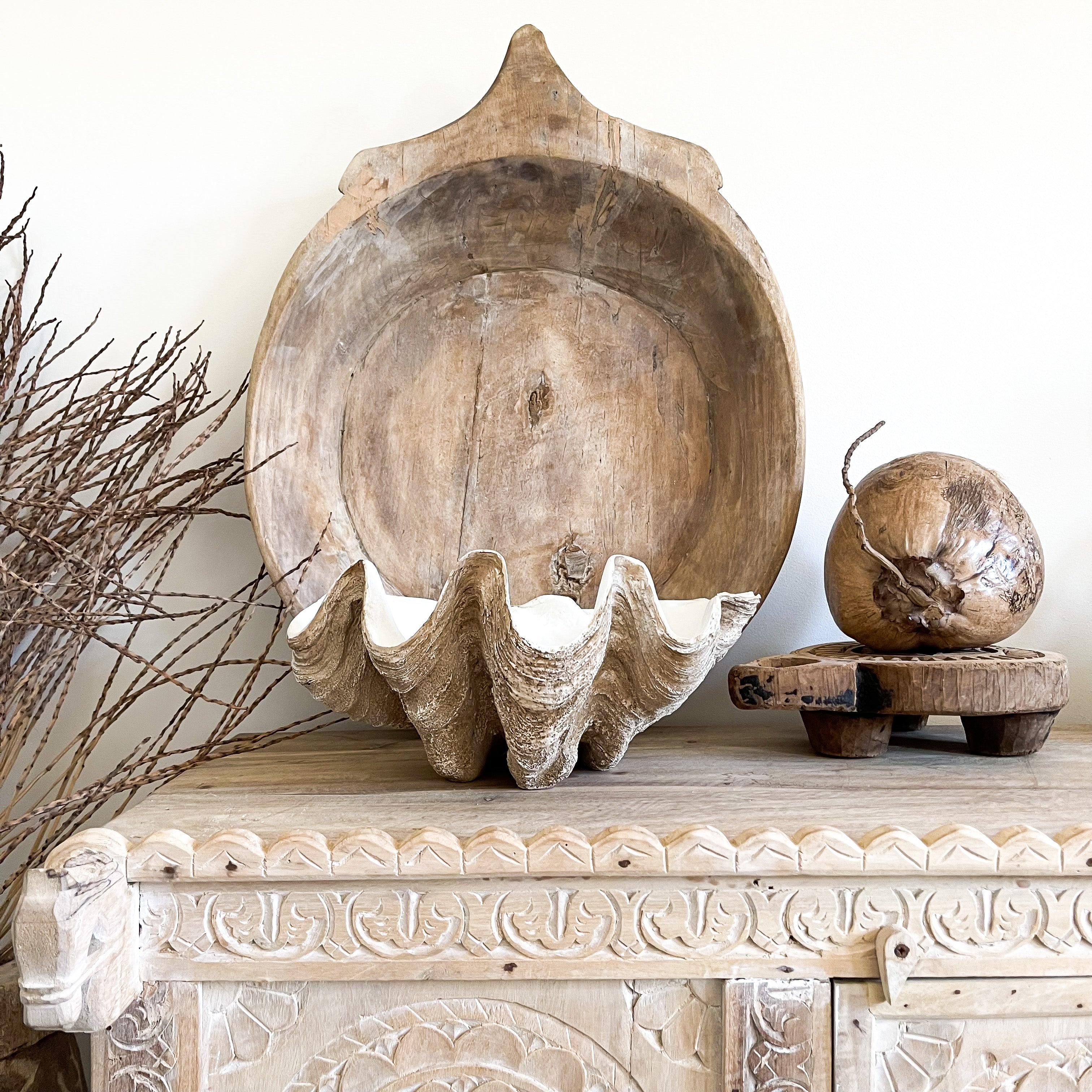 Columbus Clam Shell - Vintage - Poly-resin – Rustic White & Wood