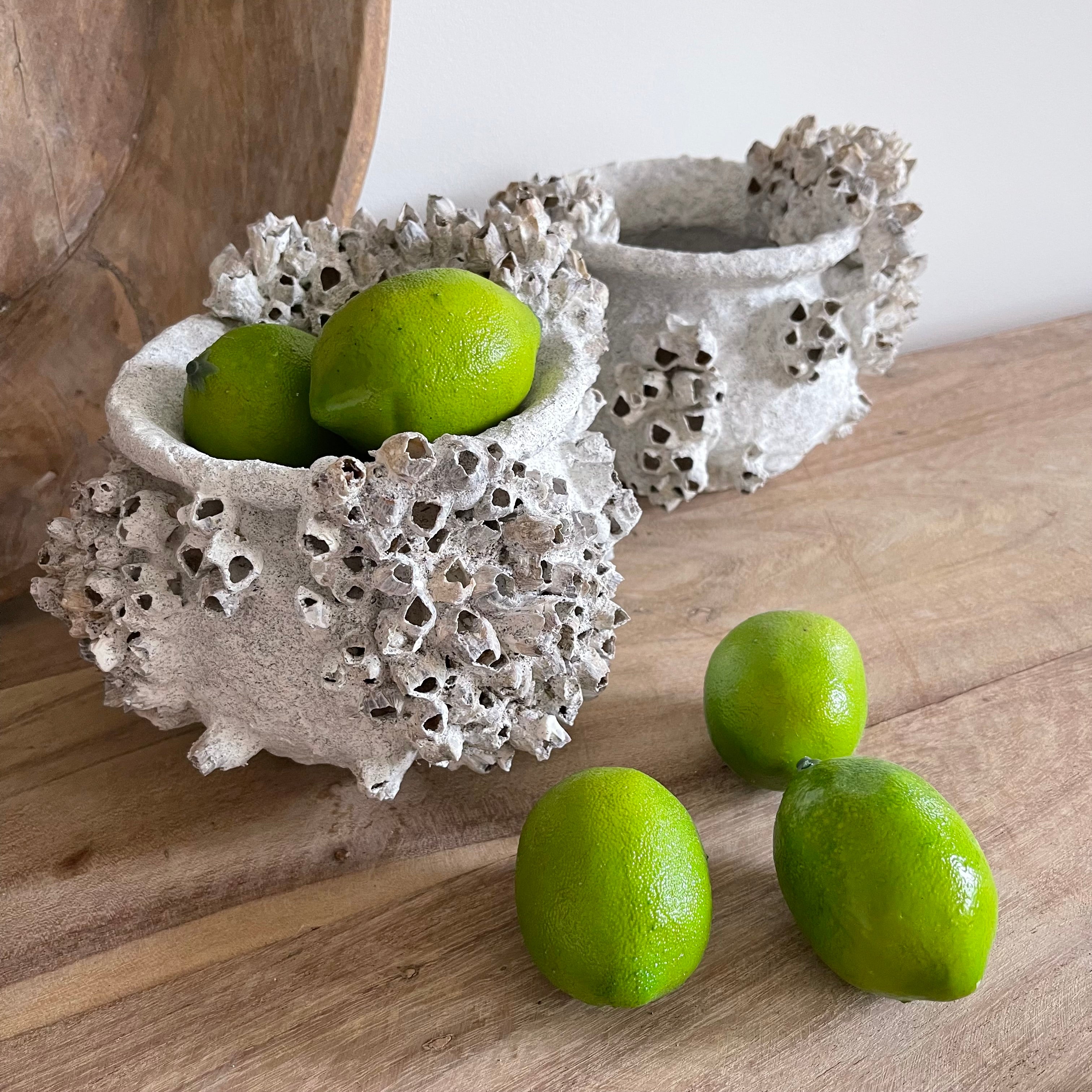 Barnacle Clustered Pots & Bowls - Various sizes – Rustic White & Wood