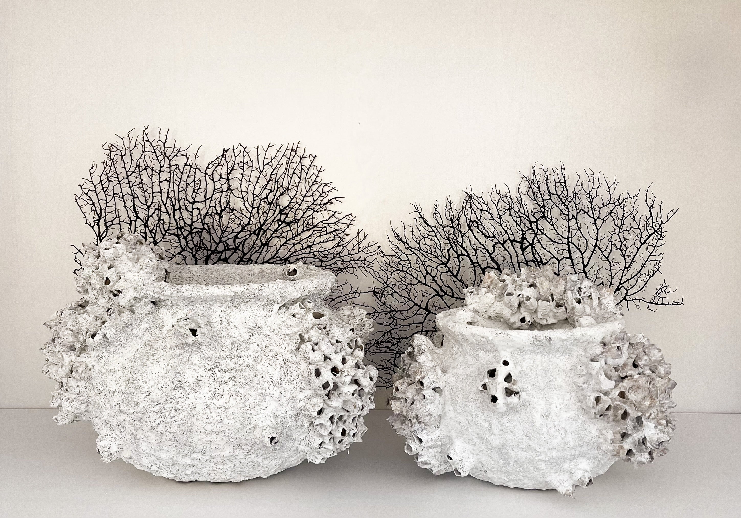 Barnacle Clustered Pots & Bowls - Various sizes – Rustic White & Wood