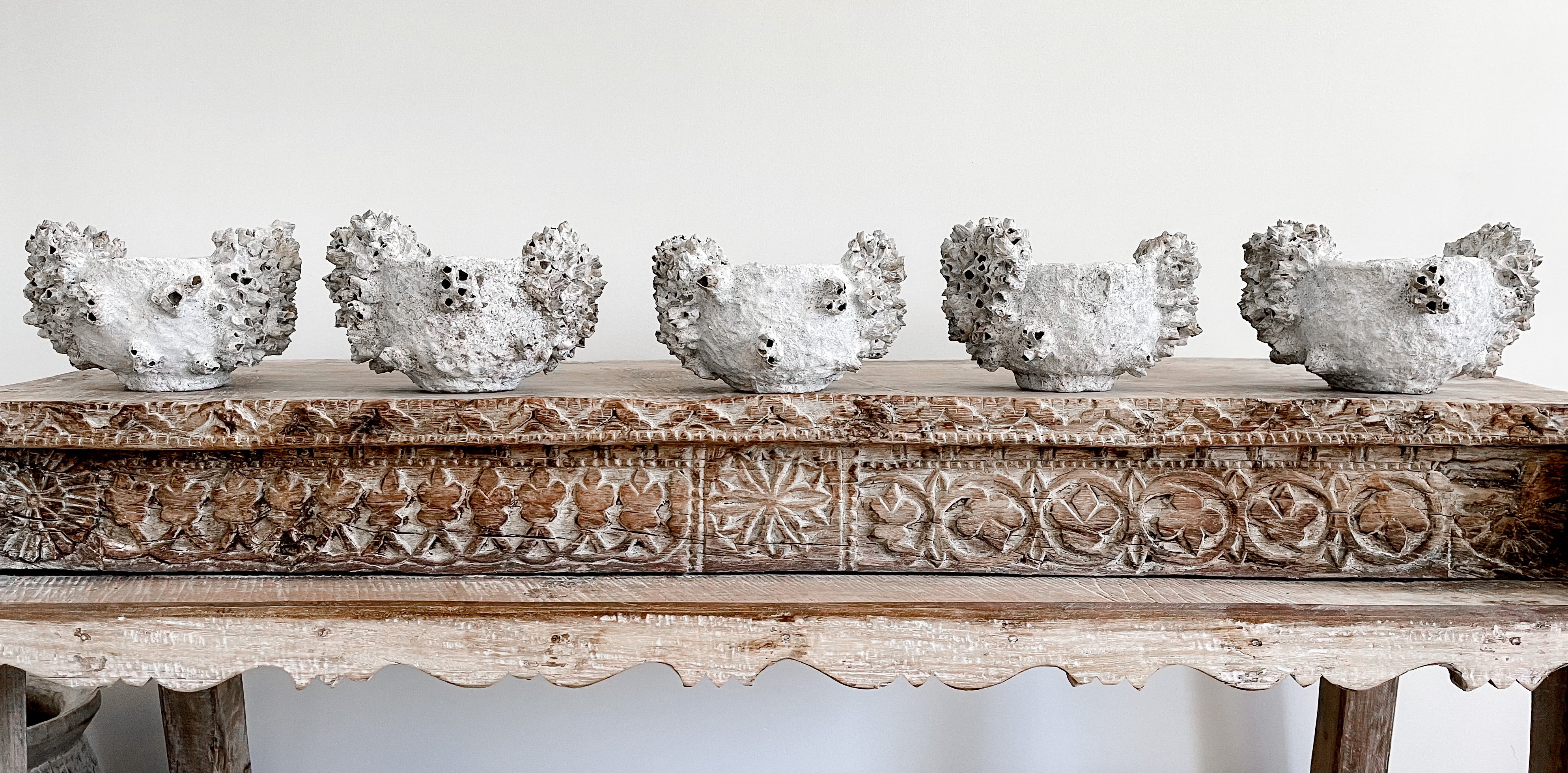 Barnacle Clustered Pots & Bowls - Various sizes – Rustic White & Wood