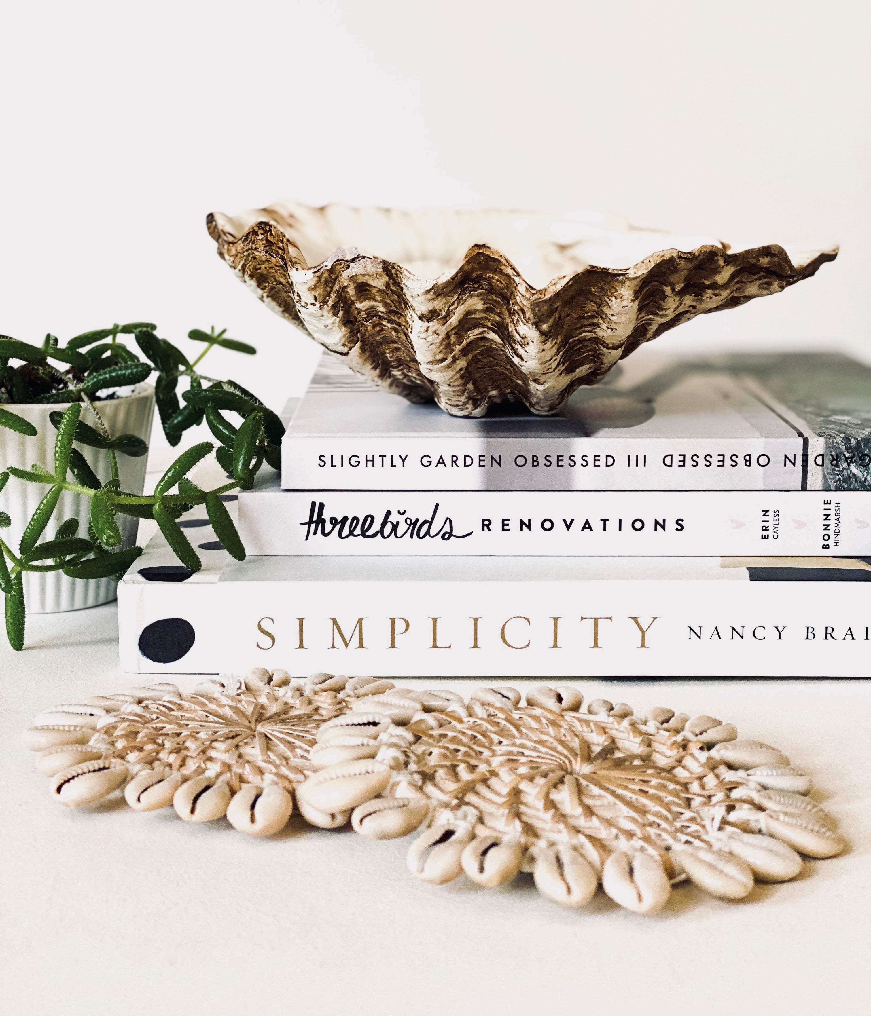 Columbus Clam Shell - Vintage - Poly-resin – Rustic White & Wood