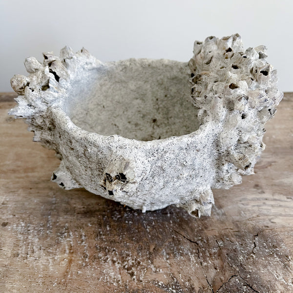 Barnacle Clustered Pots & Bowls - Various sizes – Rustic White & Wood